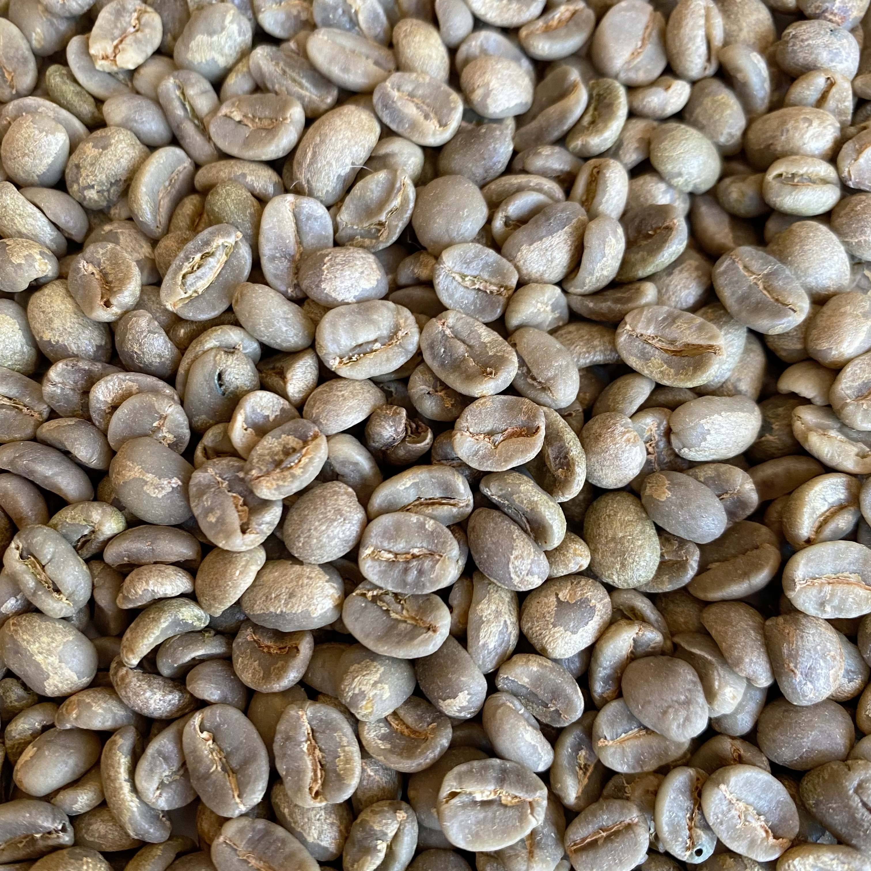 Brazilian Coffee - Bela Vista - Washed Green Coffee Beans - Coffee Bean ...