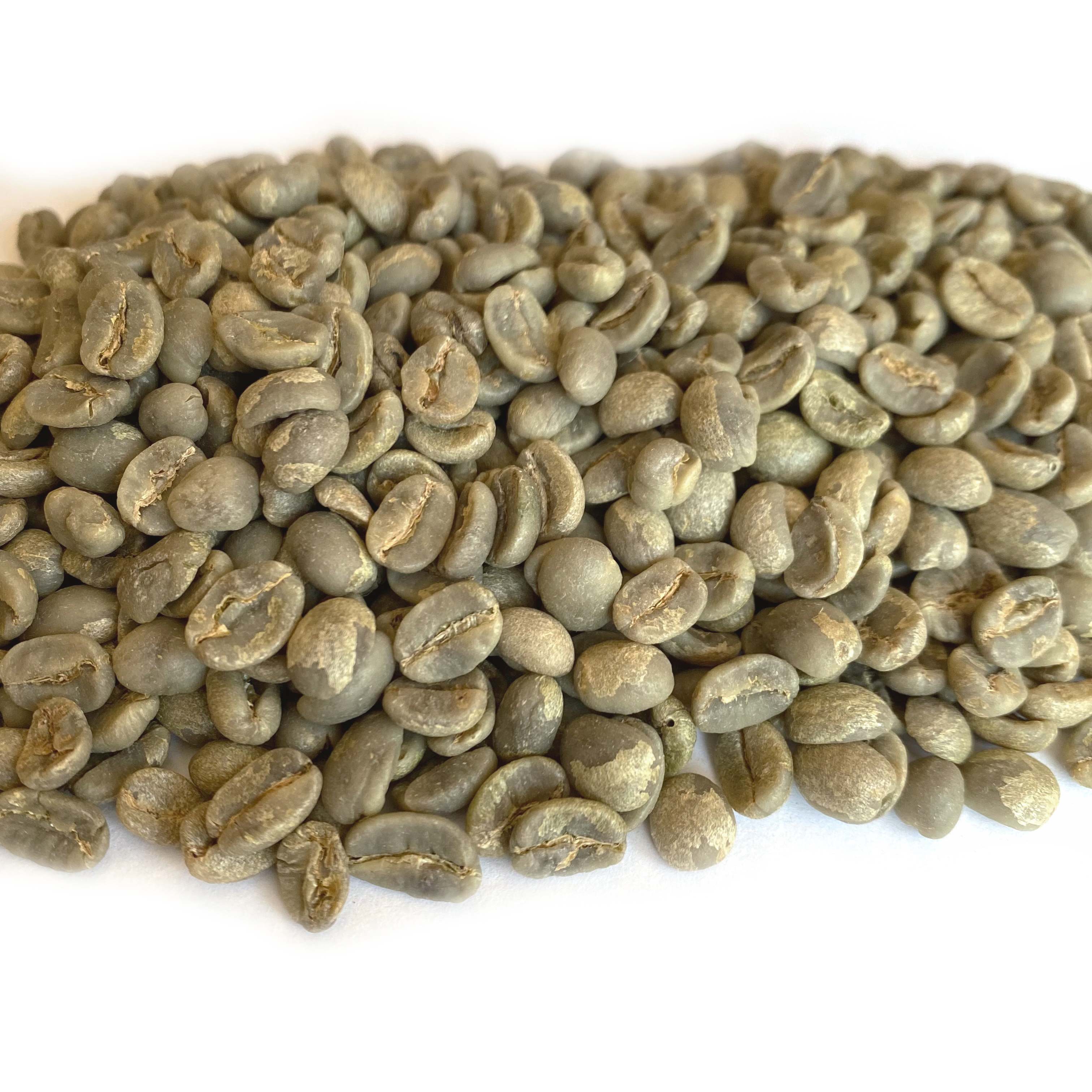 Green Coffee Beans | Unroasted Coffee Beans - Coffee Bean Corral