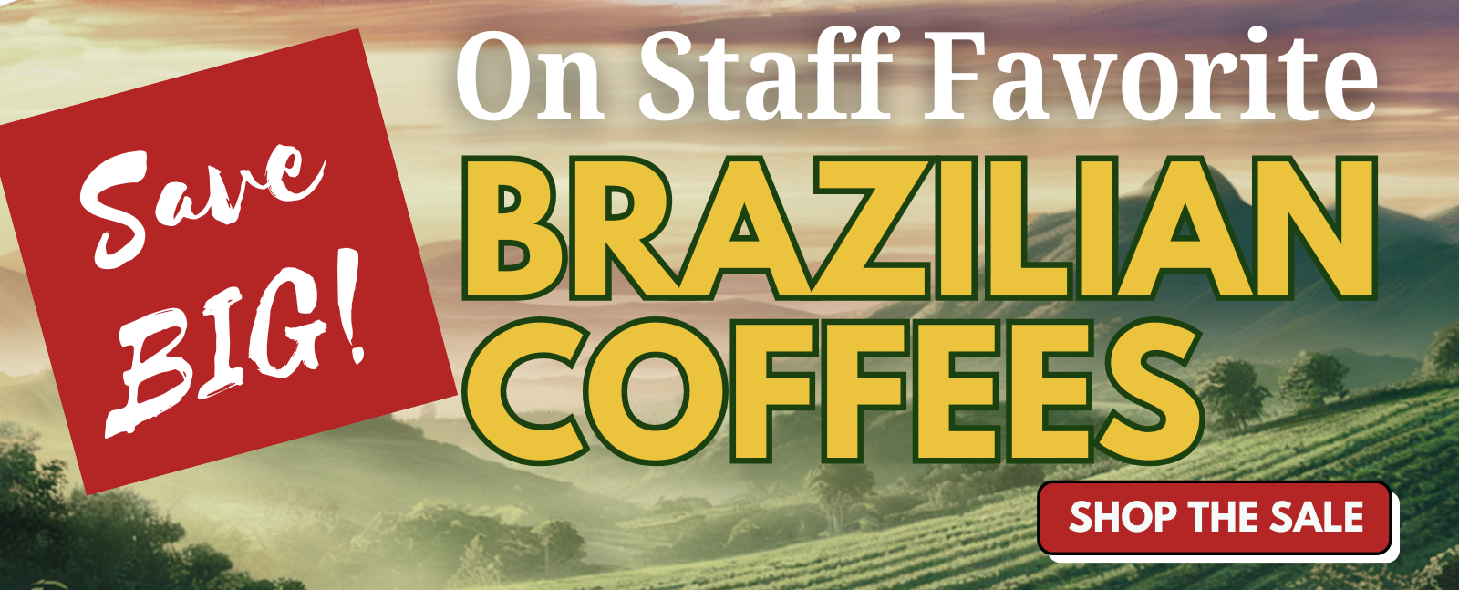 Organic Green Coffee Beans | Coffee Bean Corral