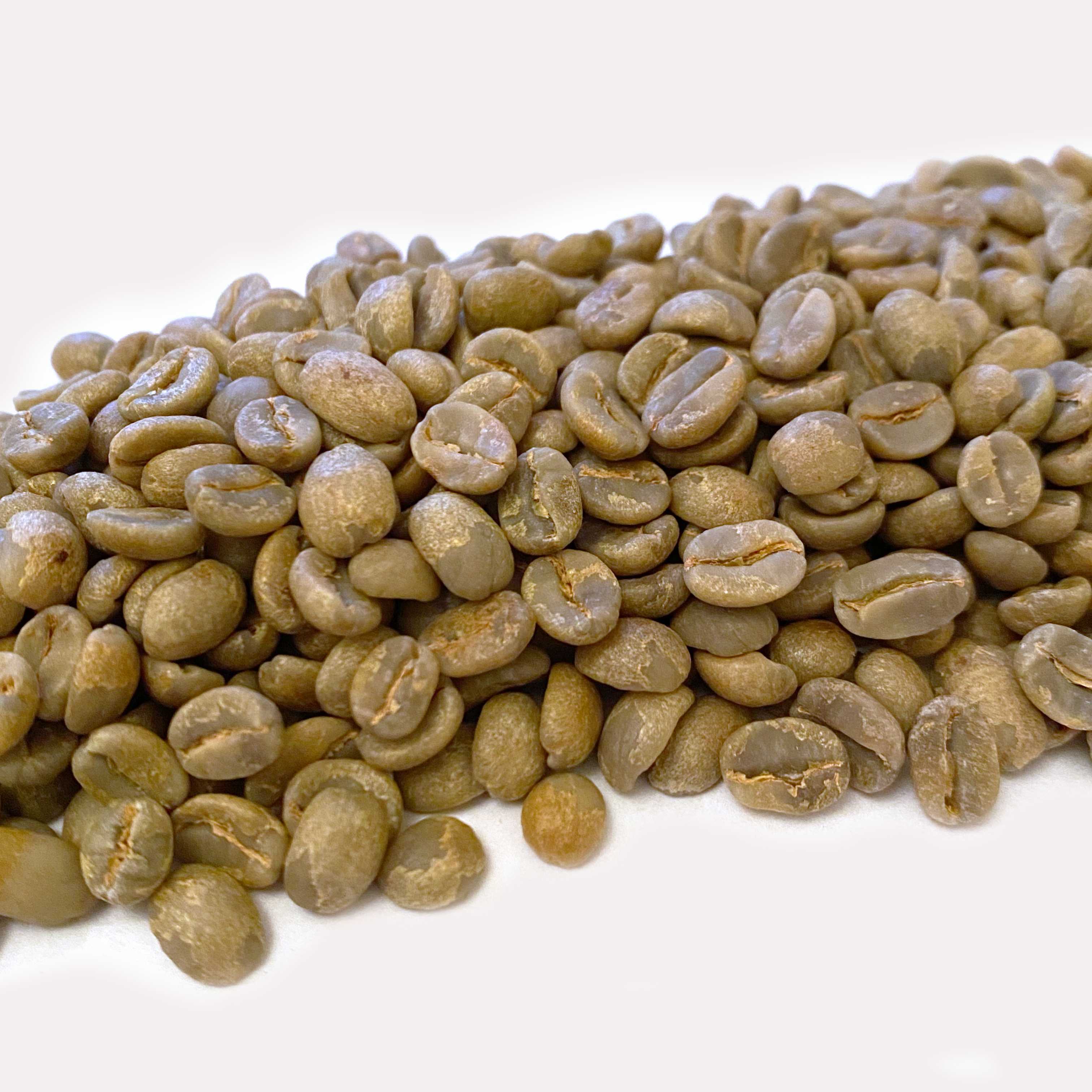Green Coffee Beans | Unroasted Coffee Beans - Coffee Bean Corral