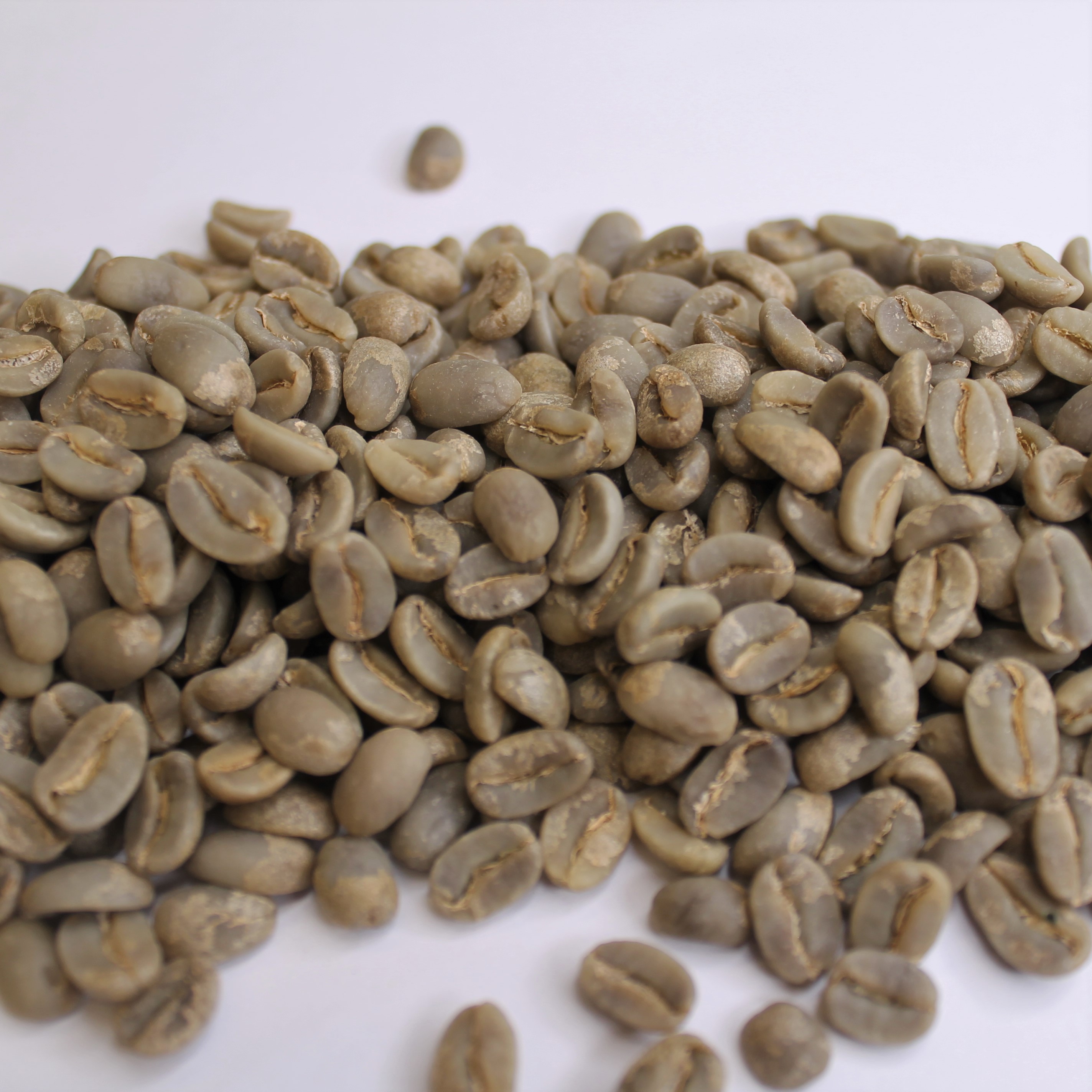 Green Coffee Beans | Unroasted Coffee Beans - Coffee Bean Corral