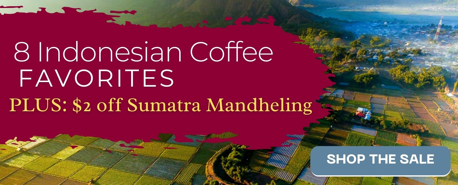 Buy Green Coffee Beans - Coffee Bean Corral