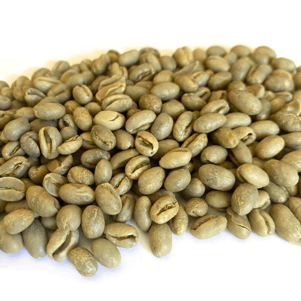 Green Coffee Beans | Unroasted Coffee Beans - Coffee Bean Corral