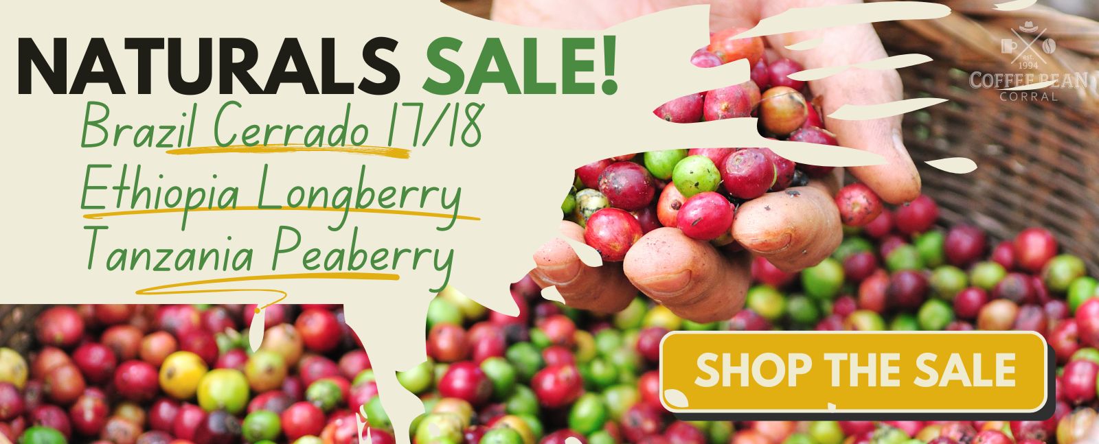 Buy Green Coffee Beans - Coffee Bean Corral