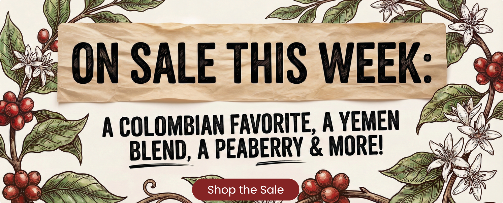 Shop Green Coffee Beans | Coffee Bean Corral