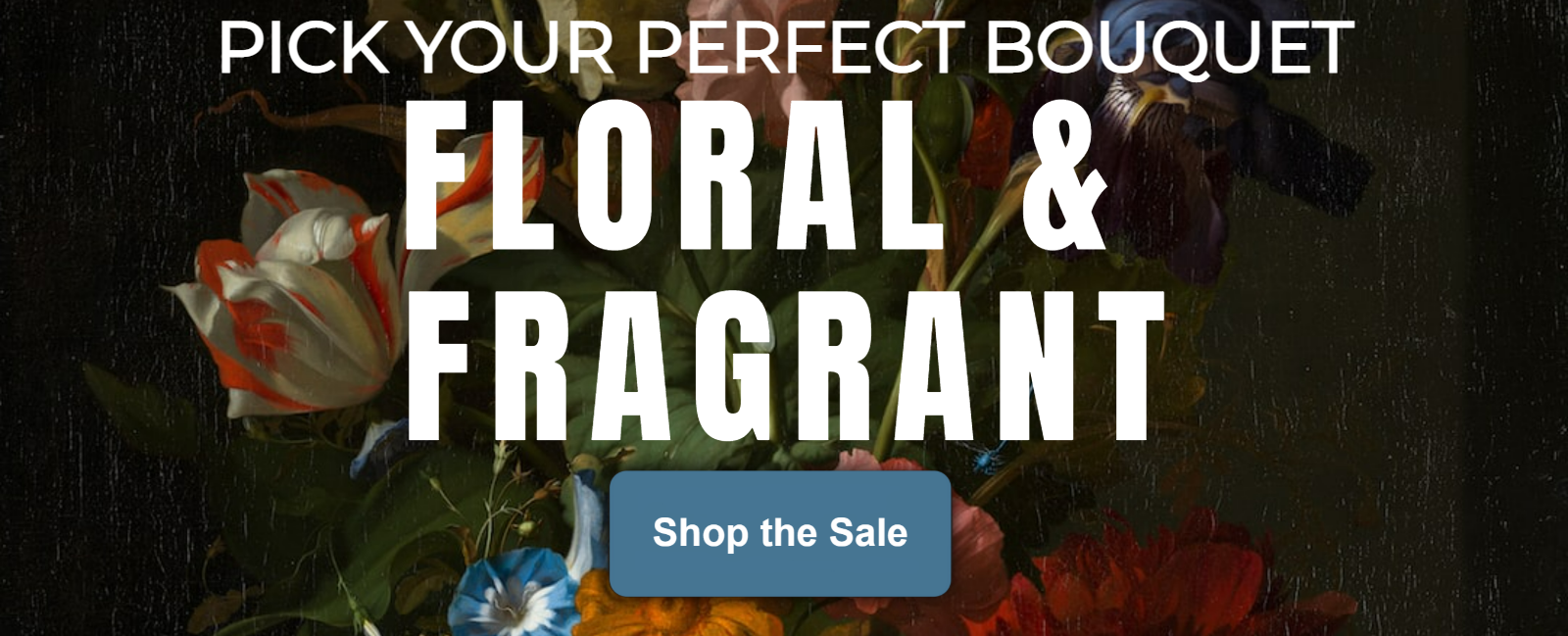 CBC Email Newsletter - Coffee Bean Corral