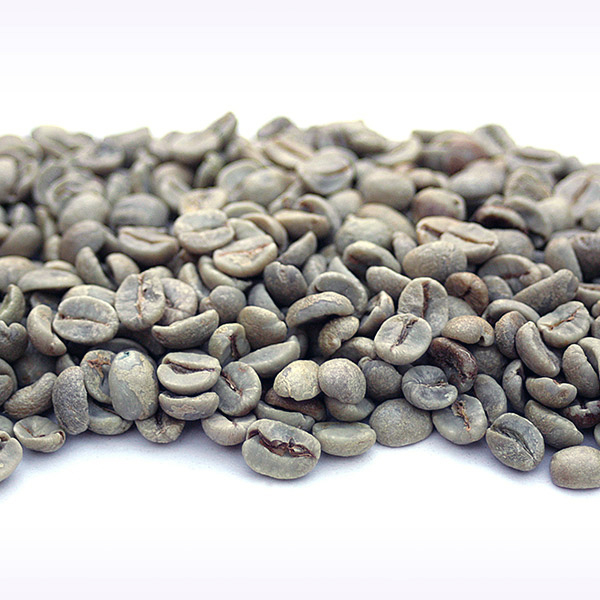 South American Green Coffee Beans - Coffee Bean Corral
