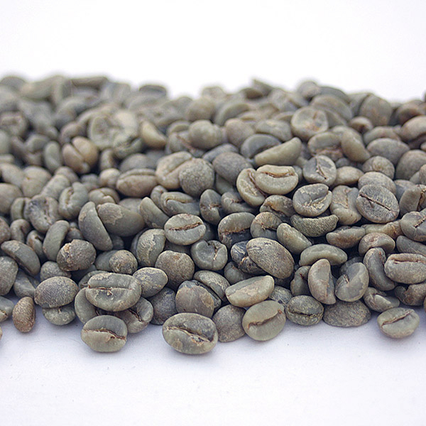 Yemeni Green Coffee Beans - Coffee Bean Corral