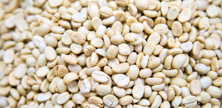 Coffee Bean Corral Blog
