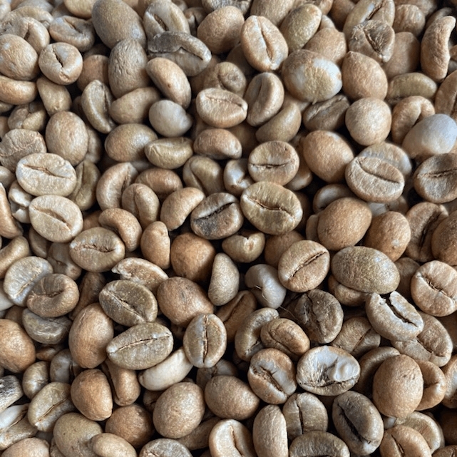 India Cherry Robusta - Coffee Bean Corral