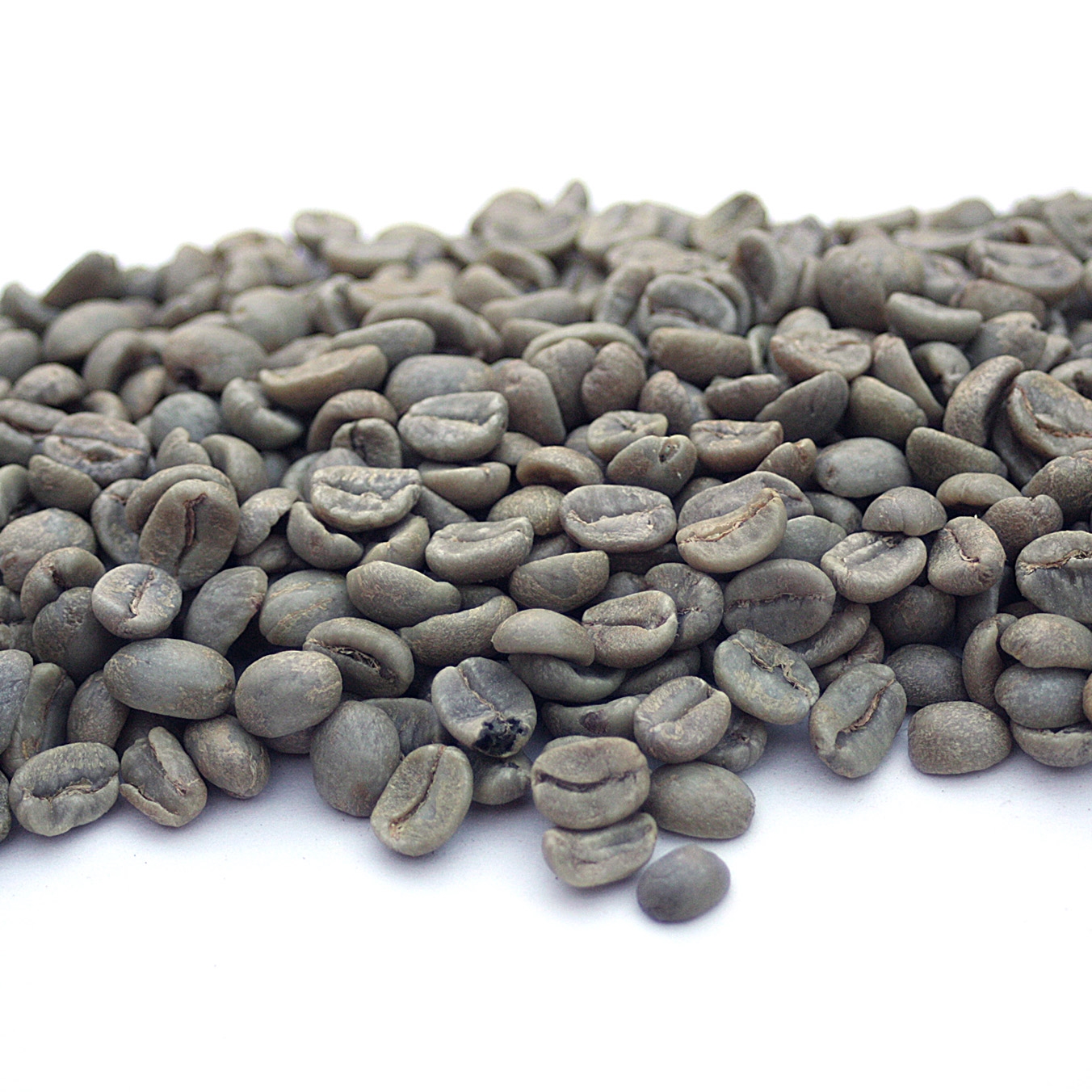 Costa Rica El Conquistador Tarrazu - Coffee Bean Corral