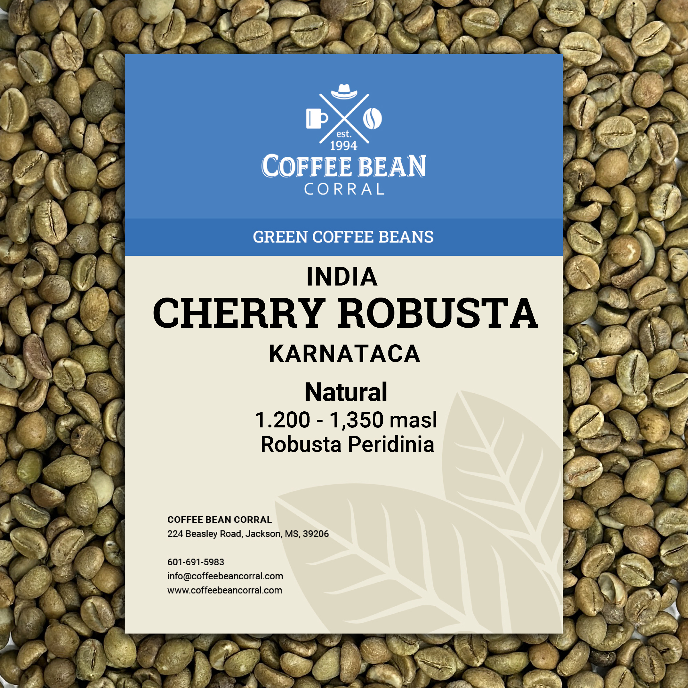 India Cherry Robusta Unroasted Coffee Beans