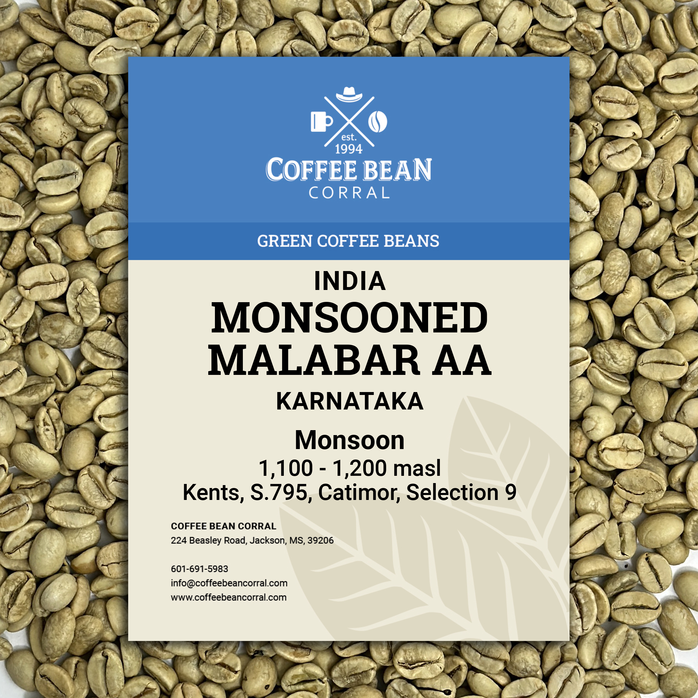 Indian Monsooned Malabar Green Coffee