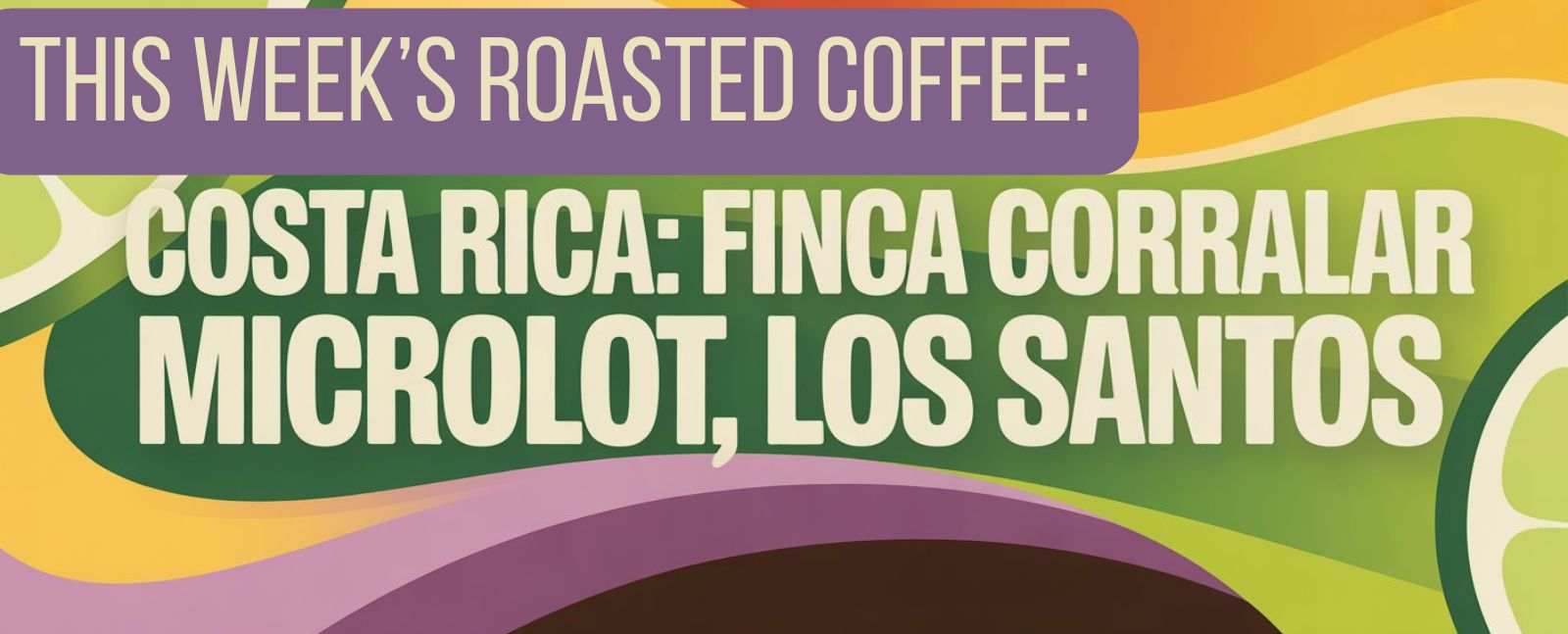 Shop Green Coffee Beans | Coffee Bean Corral