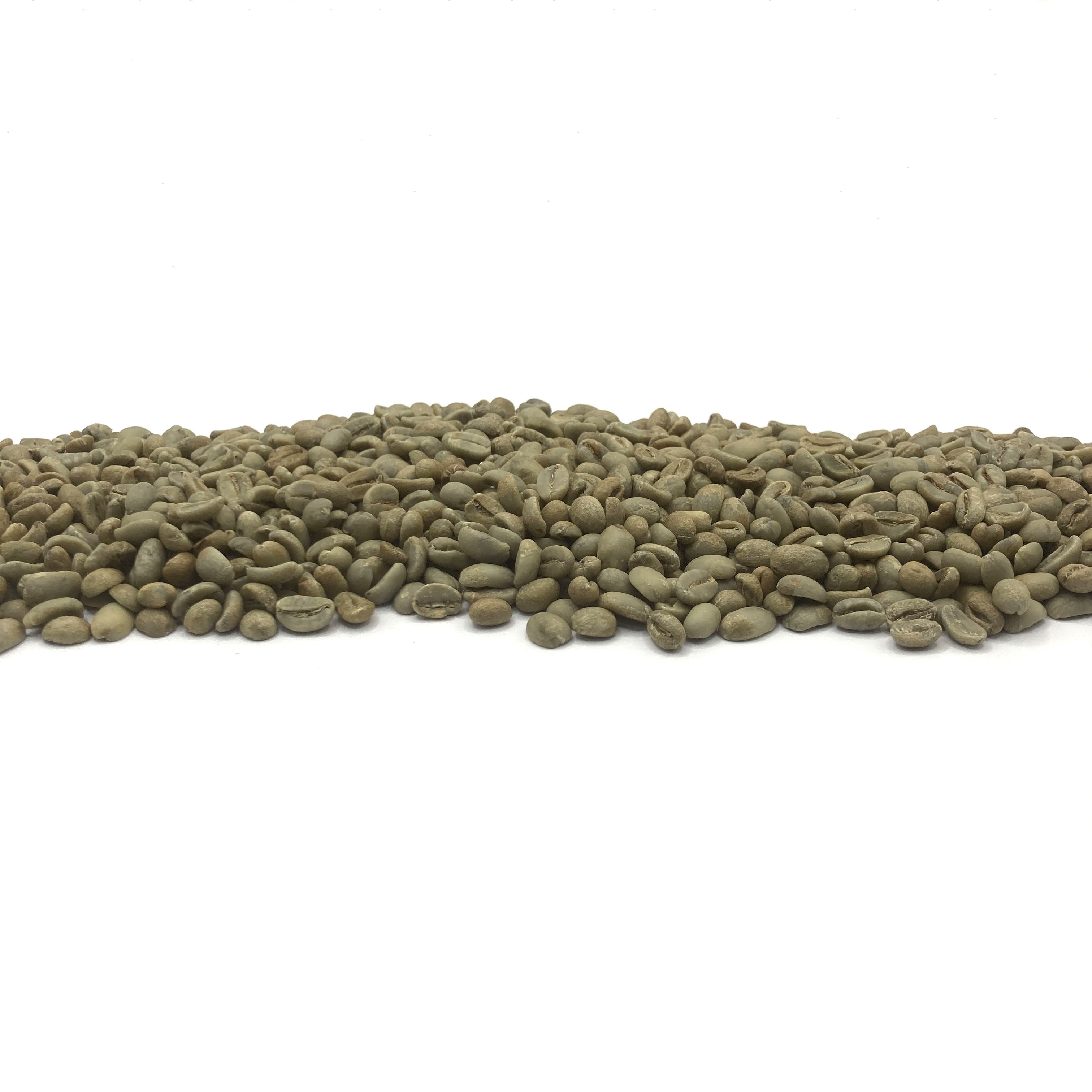 Timor Green Coffee Beans | Coffee Bean Corral