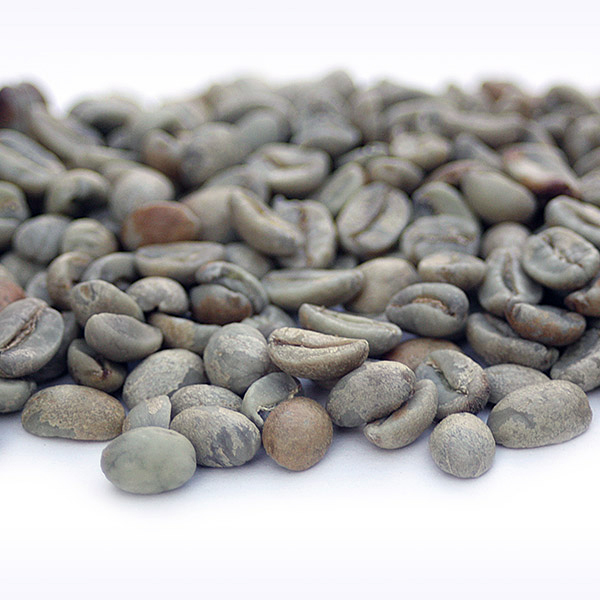 Green Coffee Beans | Unroasted Coffee Beans - Coffee Bean Corral